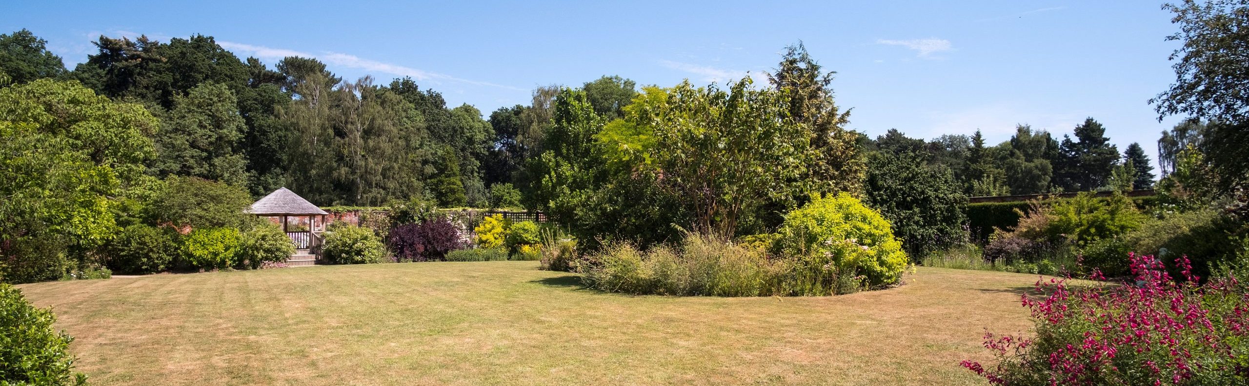 How to Repair Your Patchy Lawn (step-by-step plan) - Moowy UK