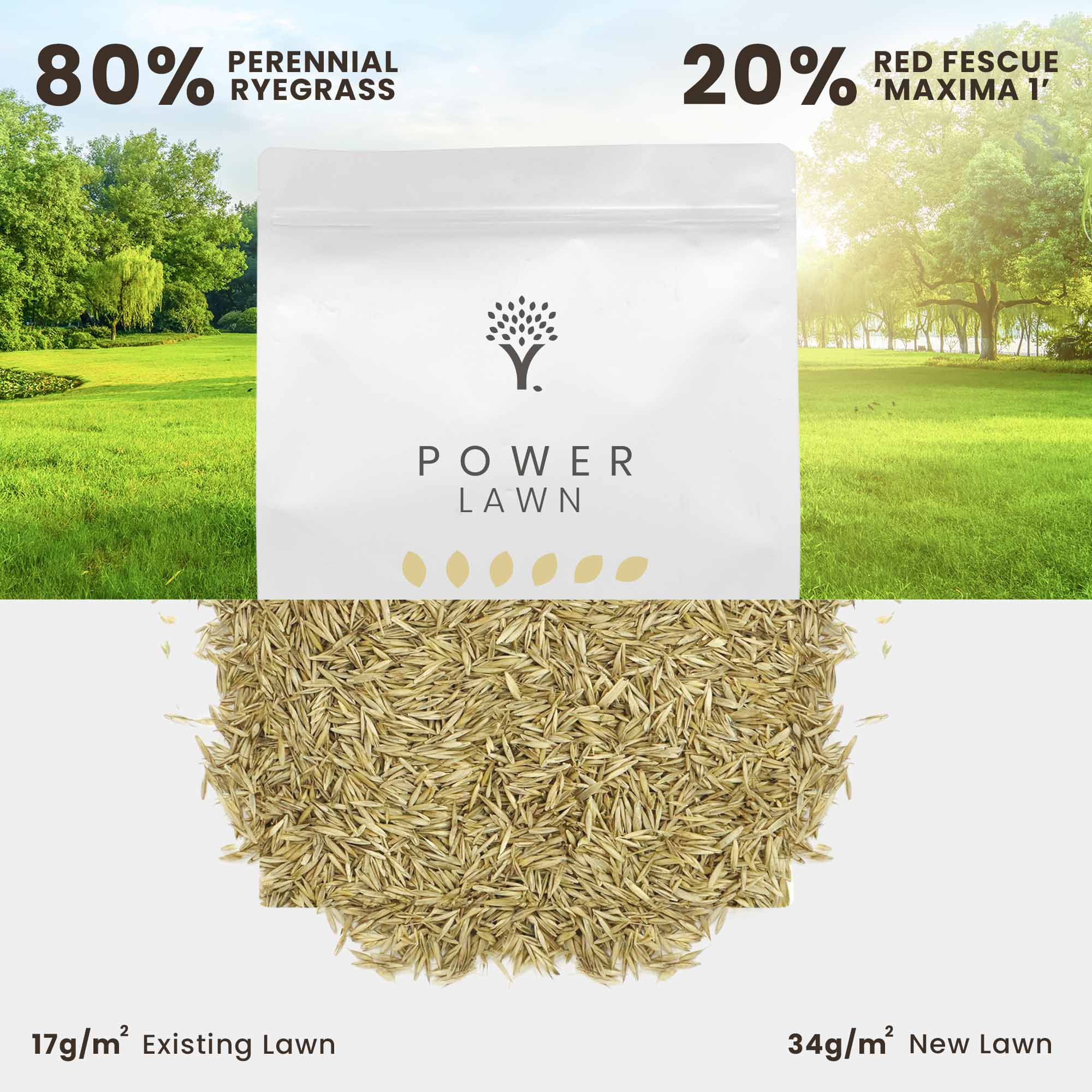 Power Lawn Grass Seed - Moowy UK