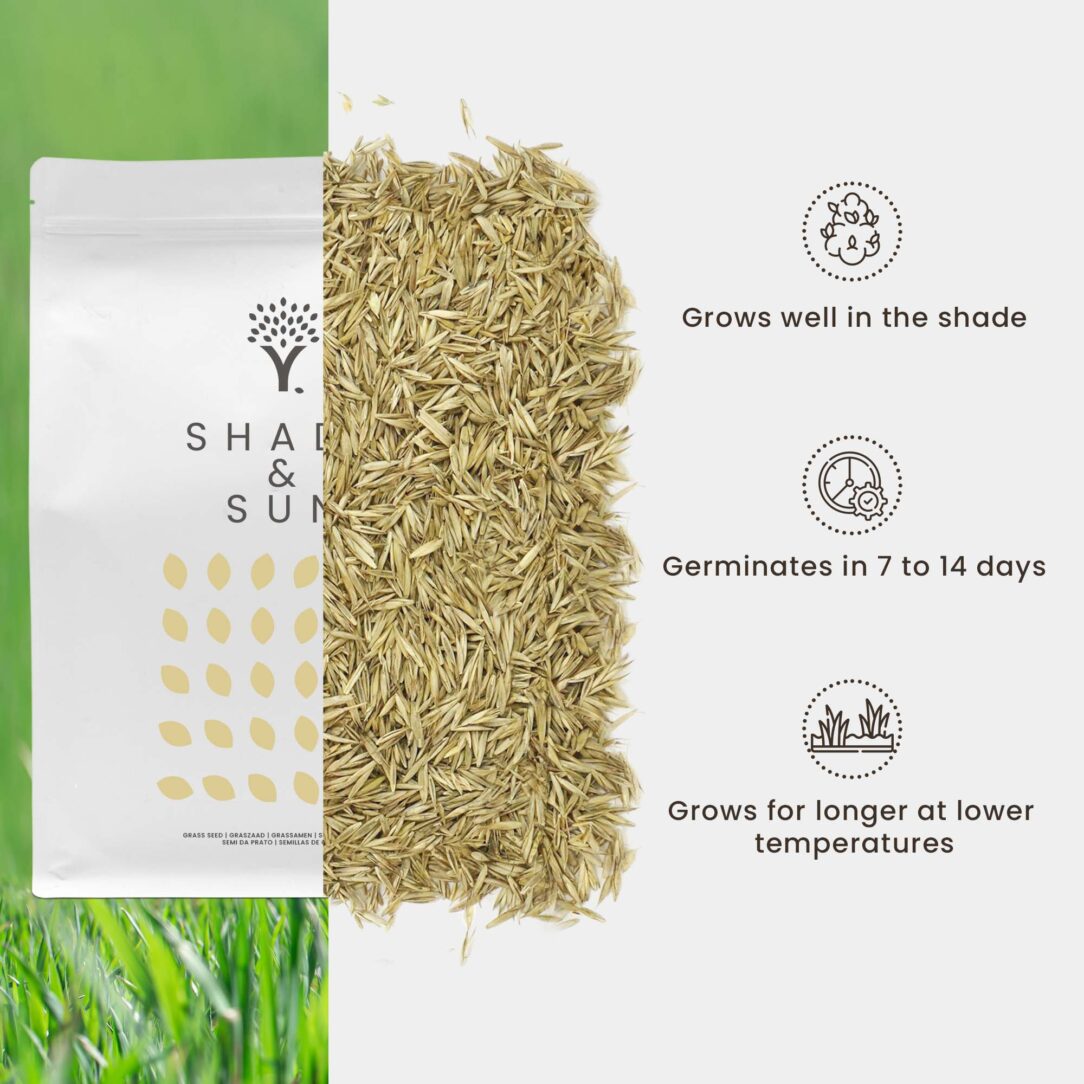 Shade & Sun Grass Seed | MOOWY