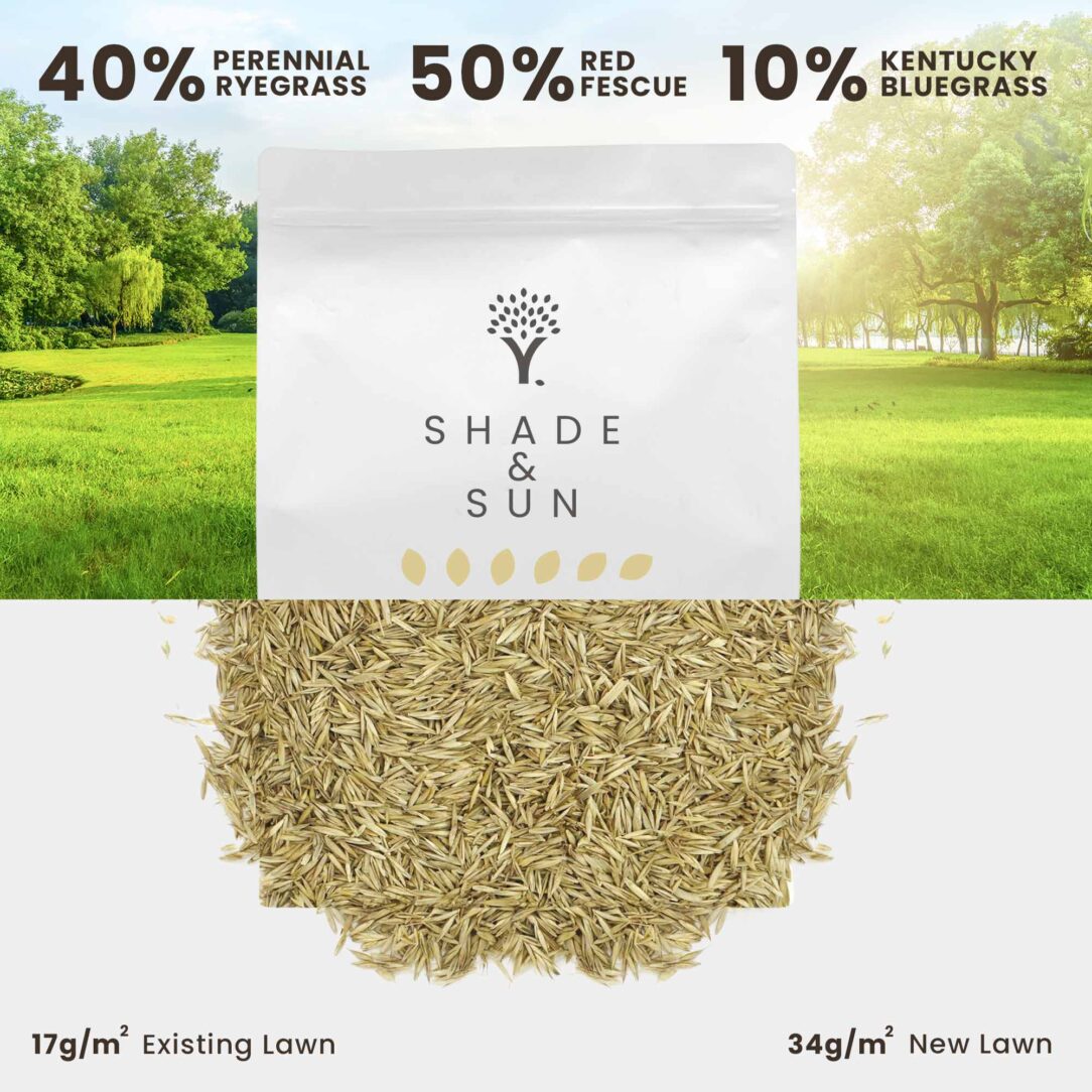 Shade & Sun Grass Seed | MOOWY
