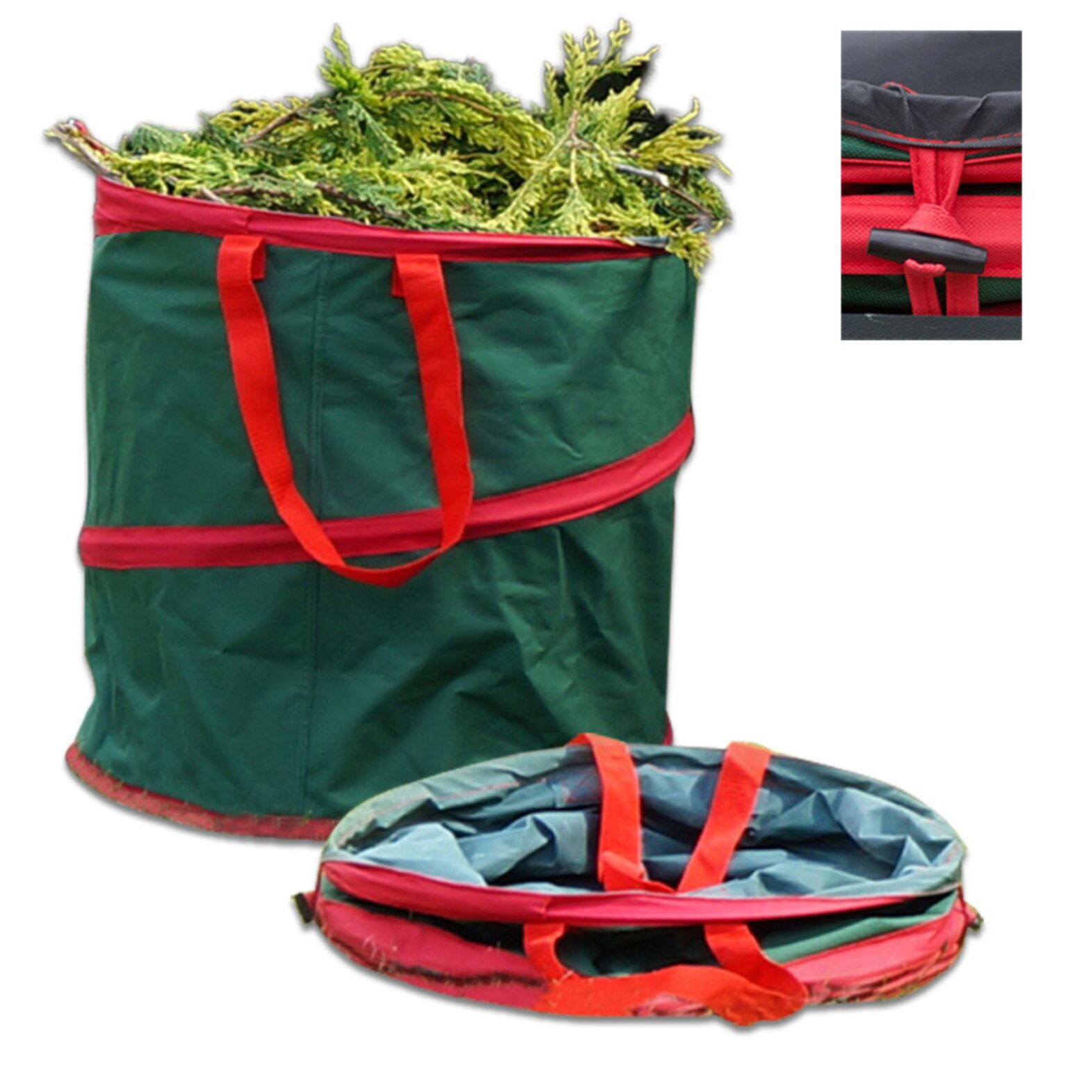 Pruning conifers: when, why and how? | MOOWY