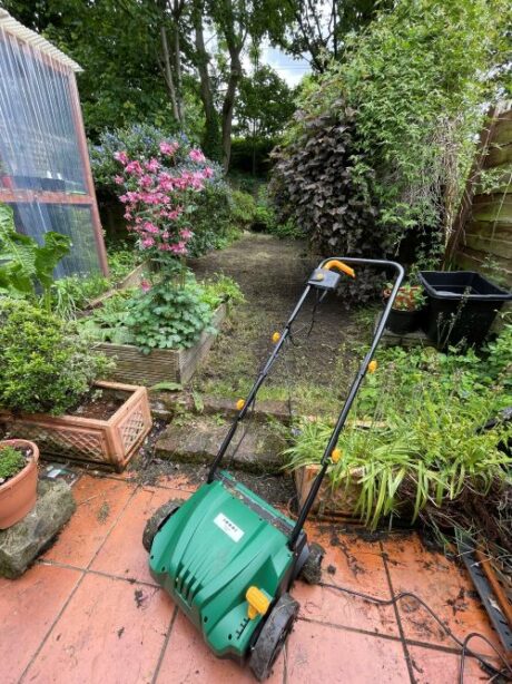 My Lawn Renovation, Part 2: Scarifying and Overseeding | MOOWY