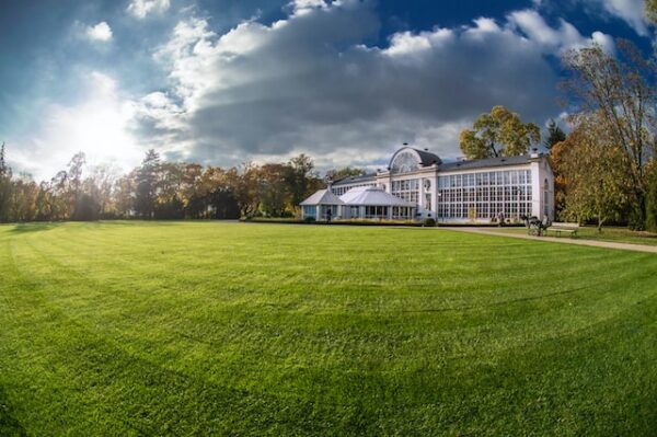 The most common types of grass in the UK | MOOWY
