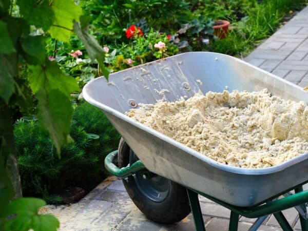 Everything You Need to Know About Lawn Sanding | MOOWY