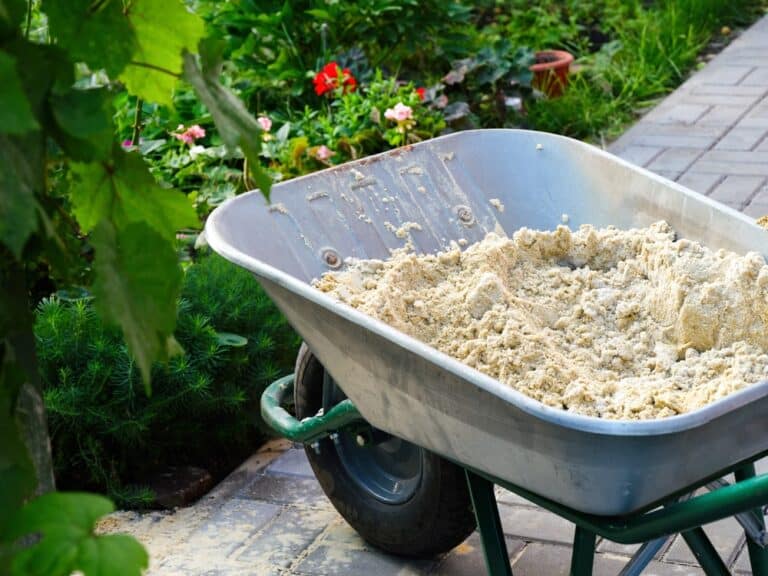 Everything You Need to Know About Lawn Sanding | MOOWY