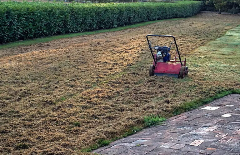 Lawn Scarification: Rake vs Scarifier | MOOWY