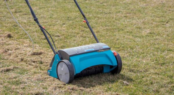 Lawn Scarification: Rake vs Scarifier | MOOWY