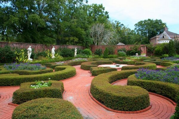 When to trim your box hedge — when, why & how! | MOOWY