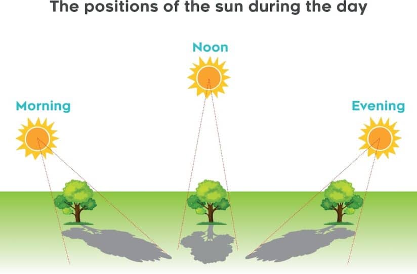 How to Design Your Perfect North-Facing Garden | MOOWY
