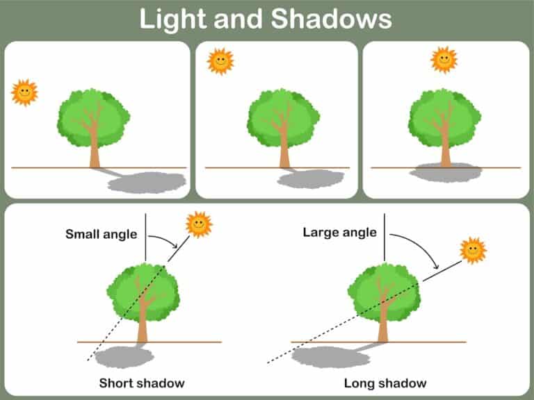 How to Design Your Perfect North-Facing Garden | MOOWY