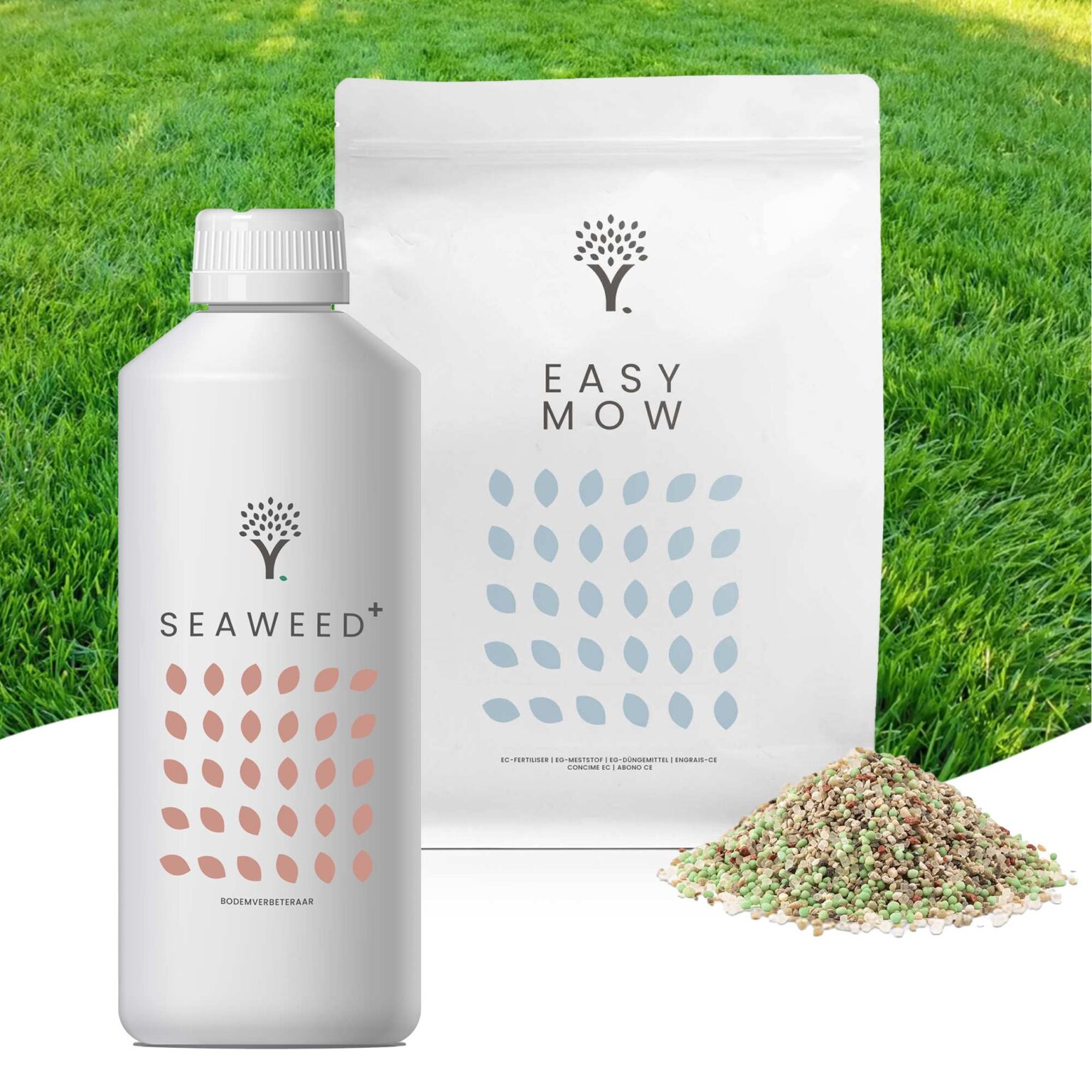 How to Prevent & Treat Thrips on Your Plants | MOOWY