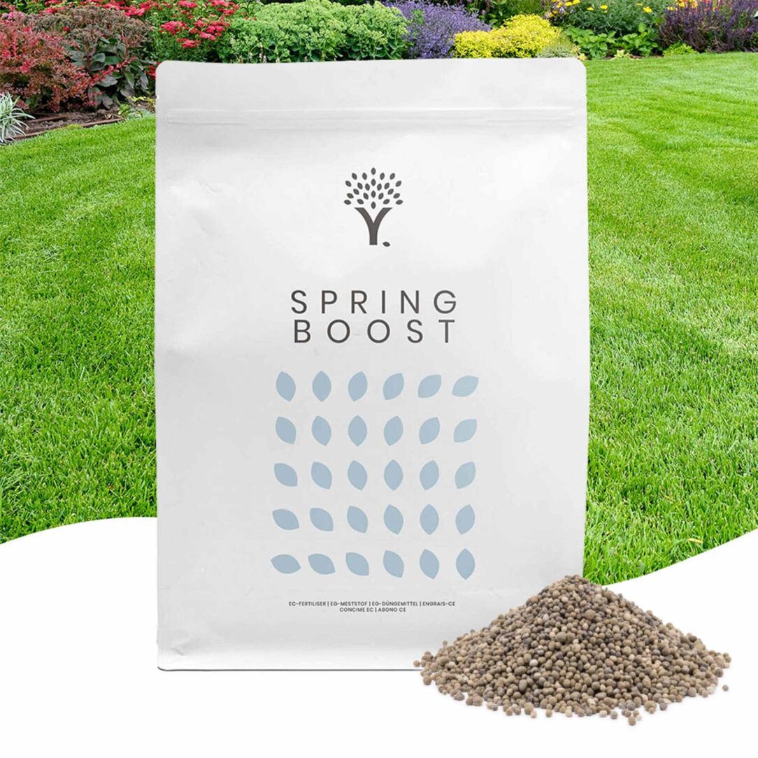 Spring Boost Lawn Fertiliser | MOOWY