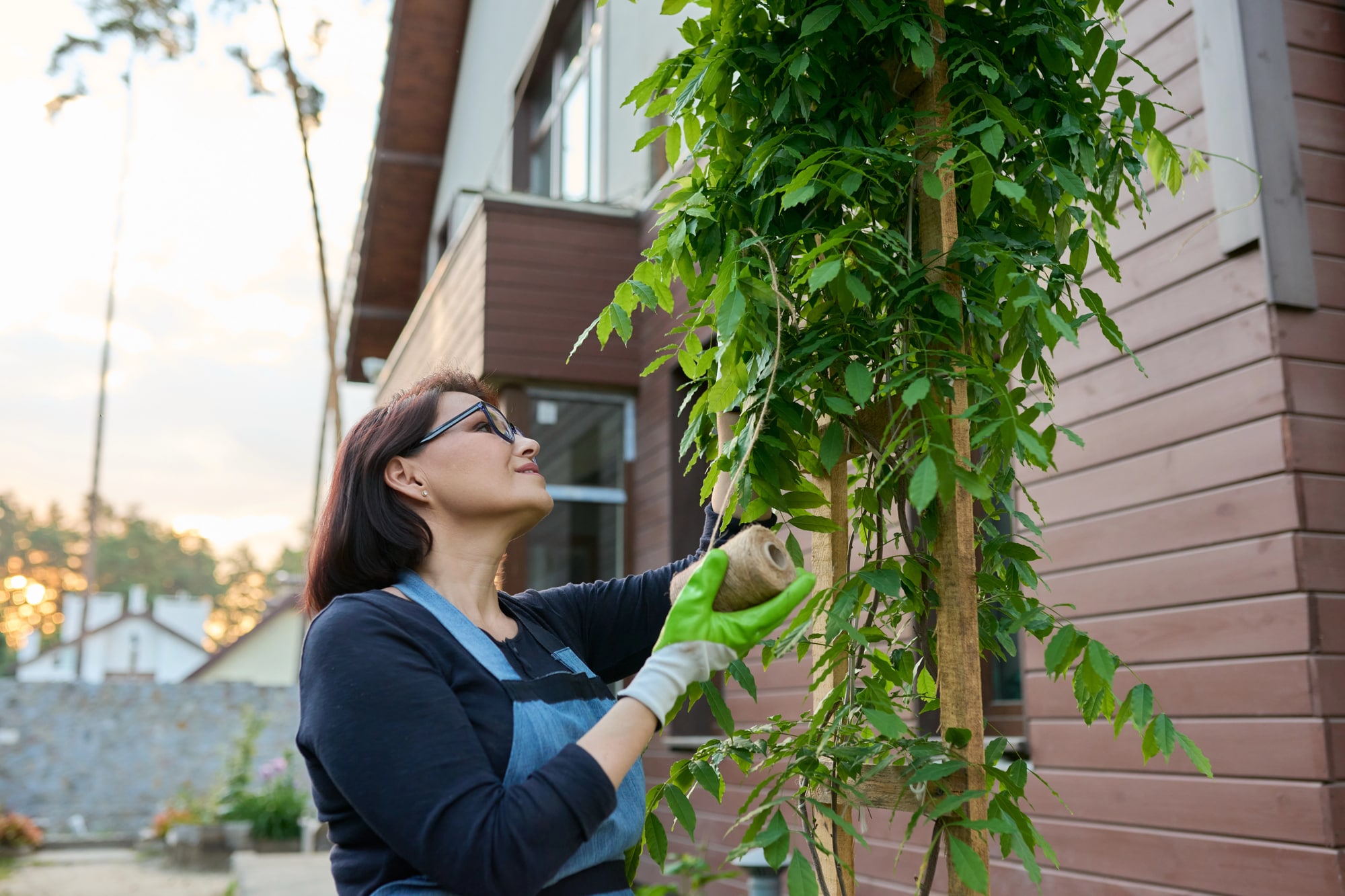 Growing Wisteria Made Simple | MOOWY