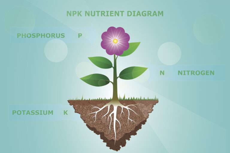 NPK fertilisers: what does it mean and what does it do? | MOOWY
