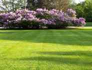 Creating a new lawn from scratch (including a step-by-step plan!) | MOOWY